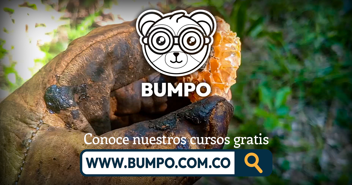 Bumpo - Educación Transmedia Gratuita para Todos